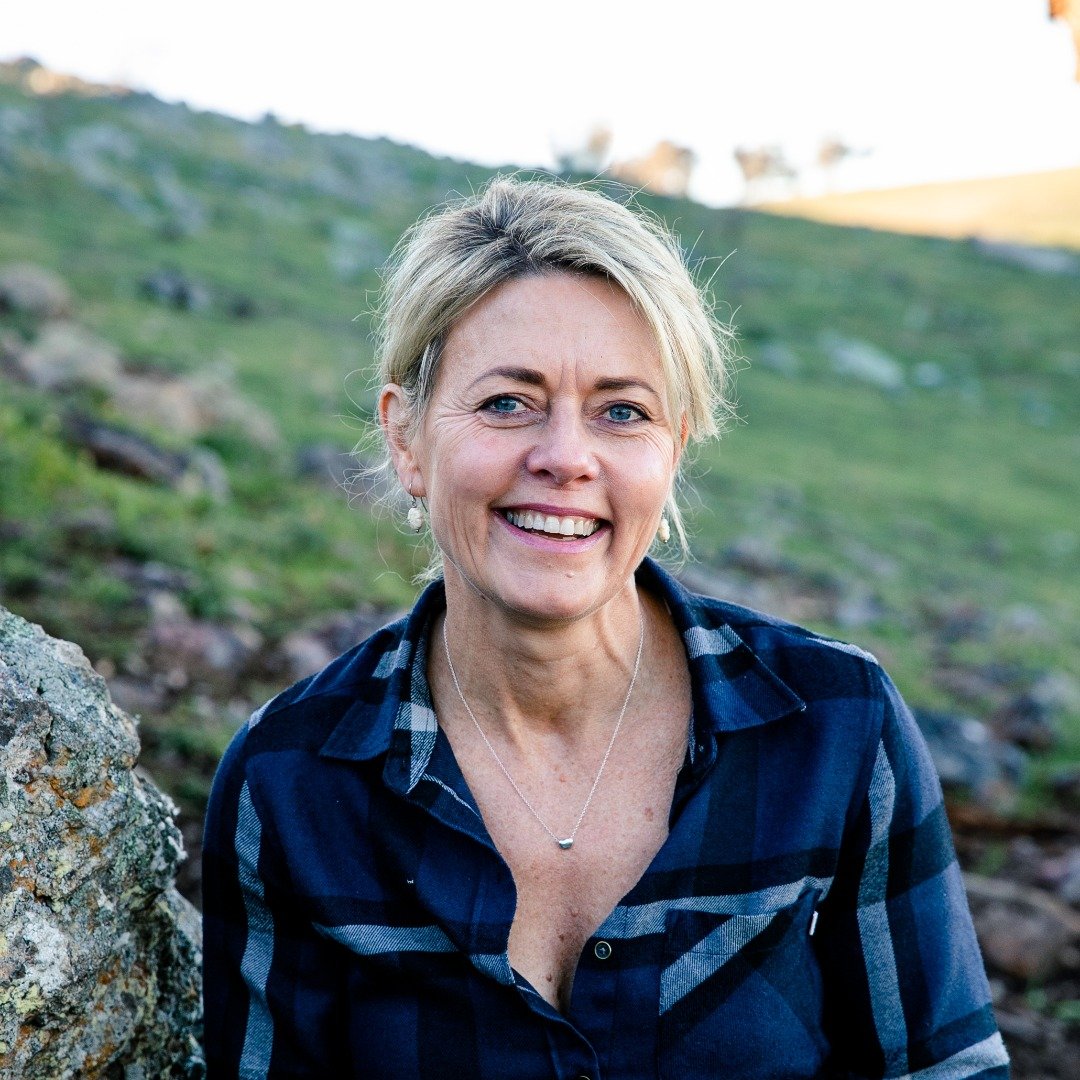 Kim Harding Art | Home